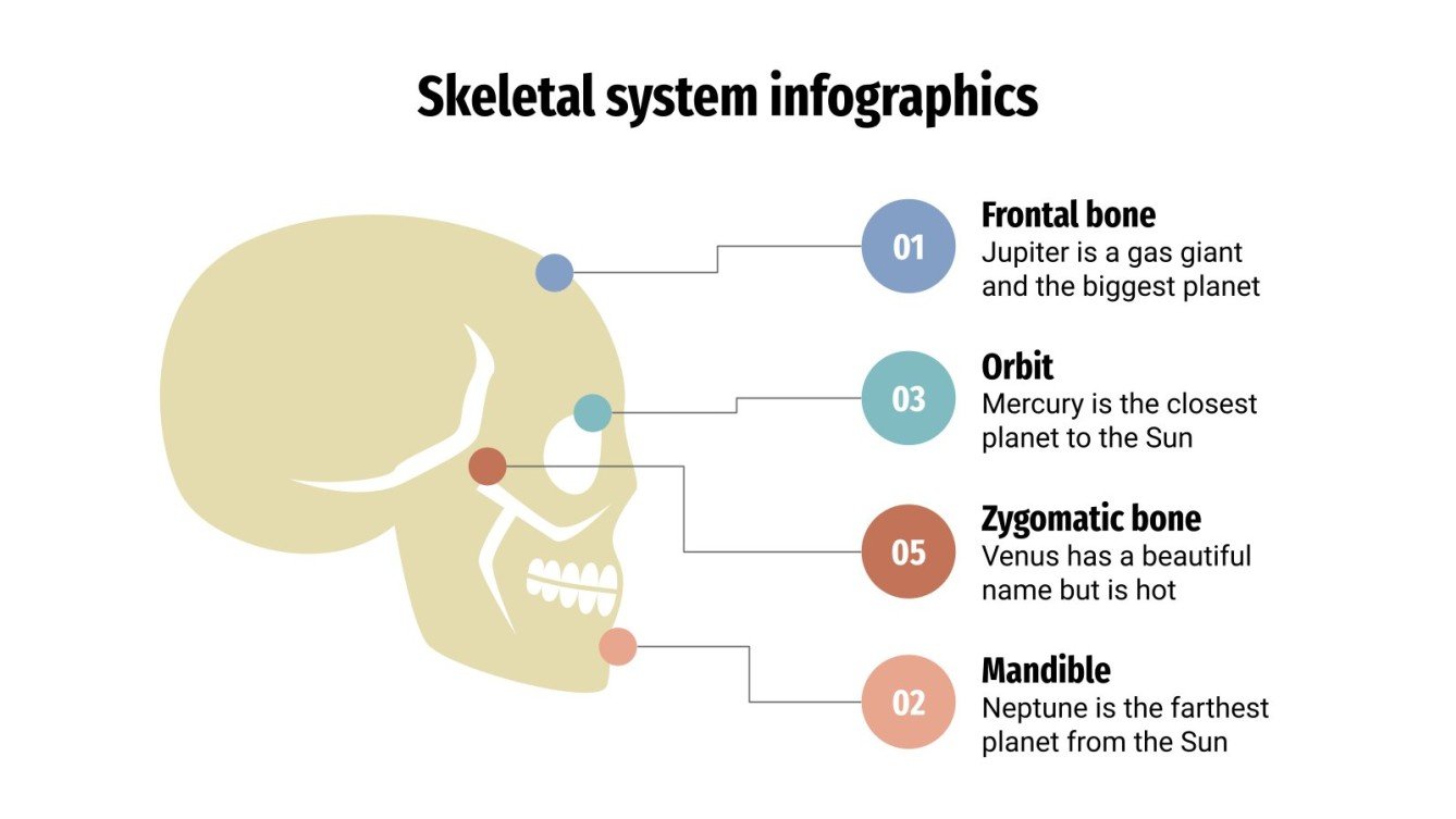 Skeletal System Infographics | Google Slides & PowerPoint