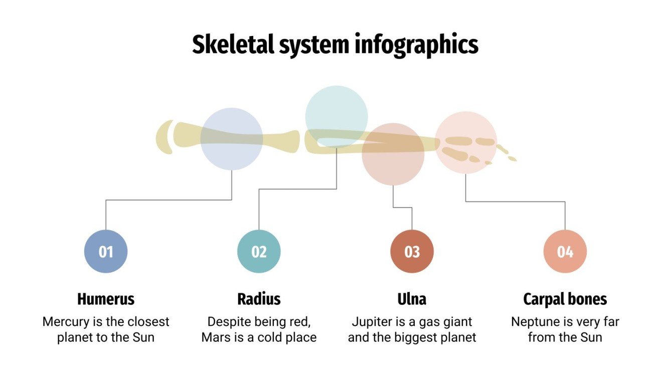 Skeletal System Infographics | Google Slides & PowerPoint