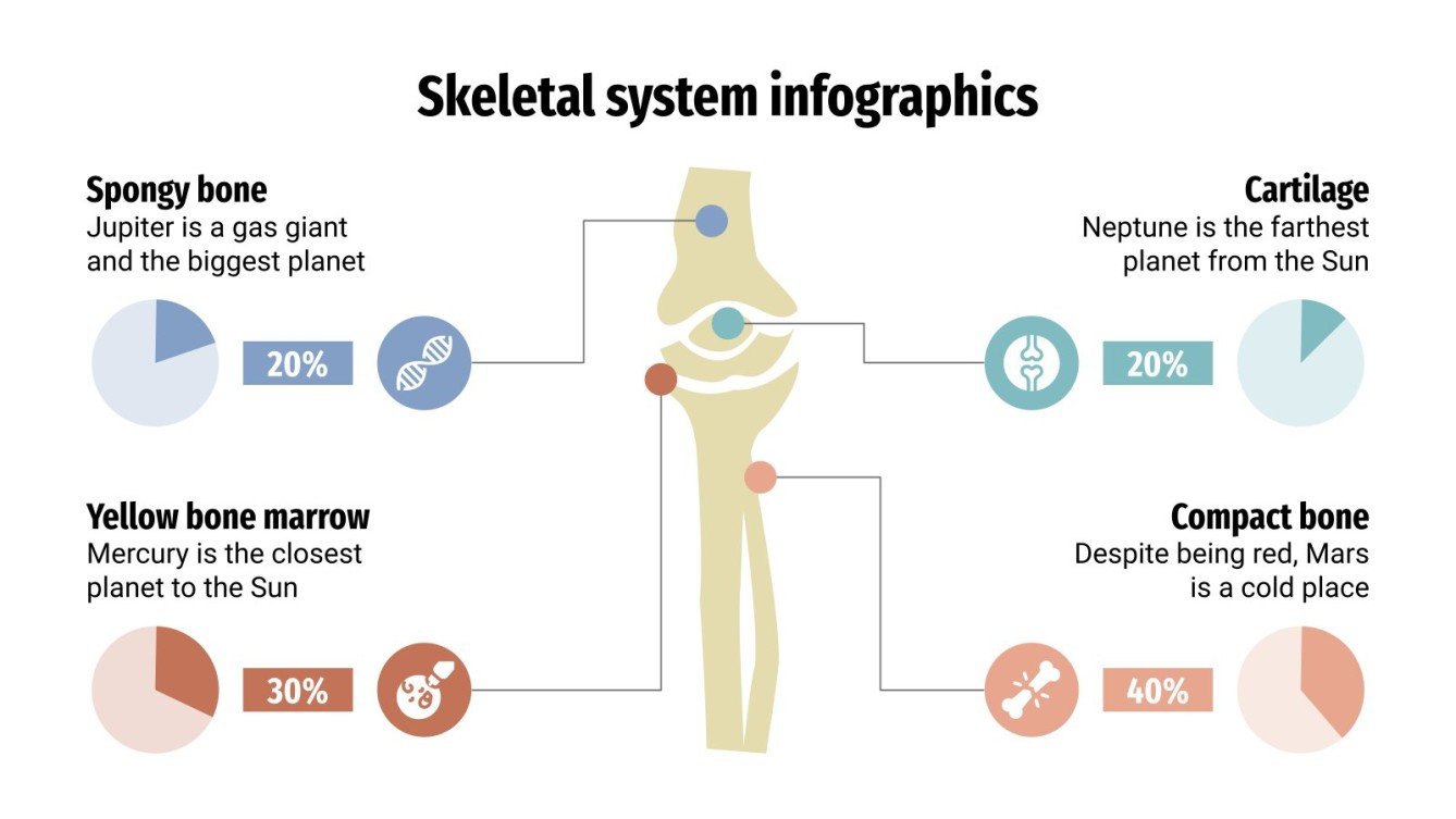 Skeletal System Infographics | Google Slides & PowerPoint