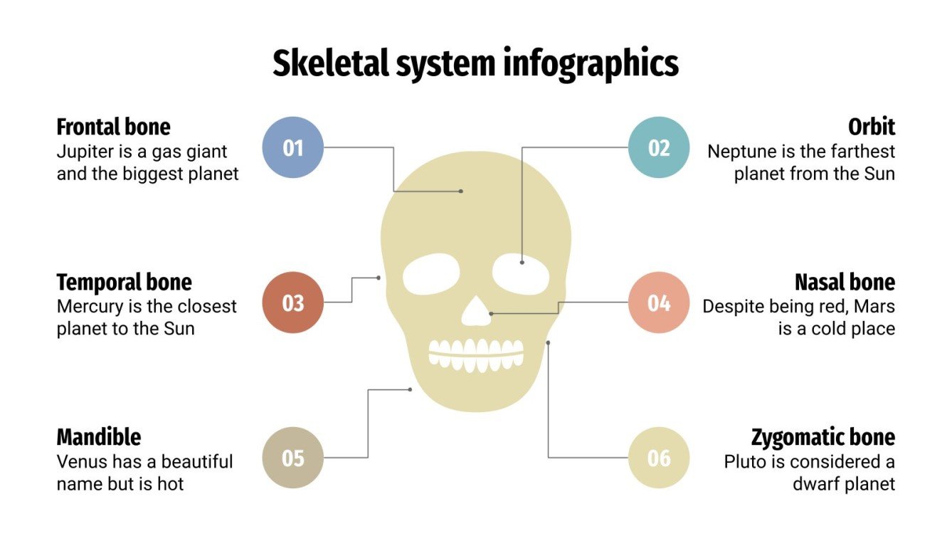 Skeletal System Infographics | Google Slides & PowerPoint