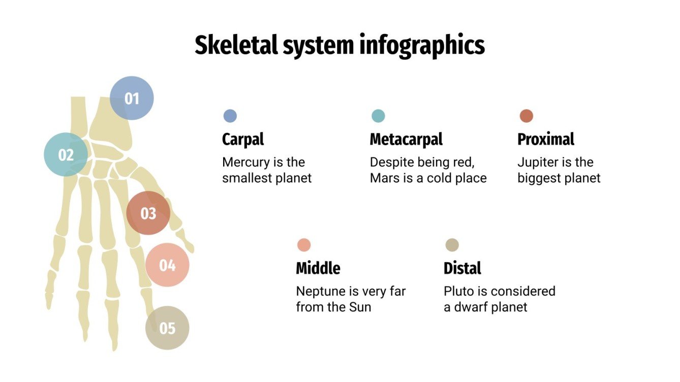 Skeletal System Infographics | Google Slides & PowerPoint