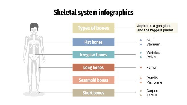 Skeletal System Infographics | Google Slides & PowerPoint