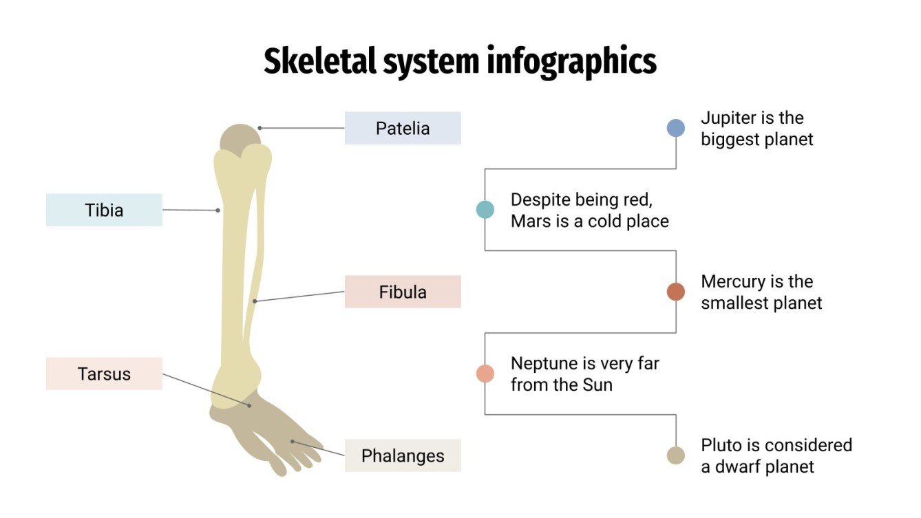Skeletal System Infographics | Google Slides & PowerPoint