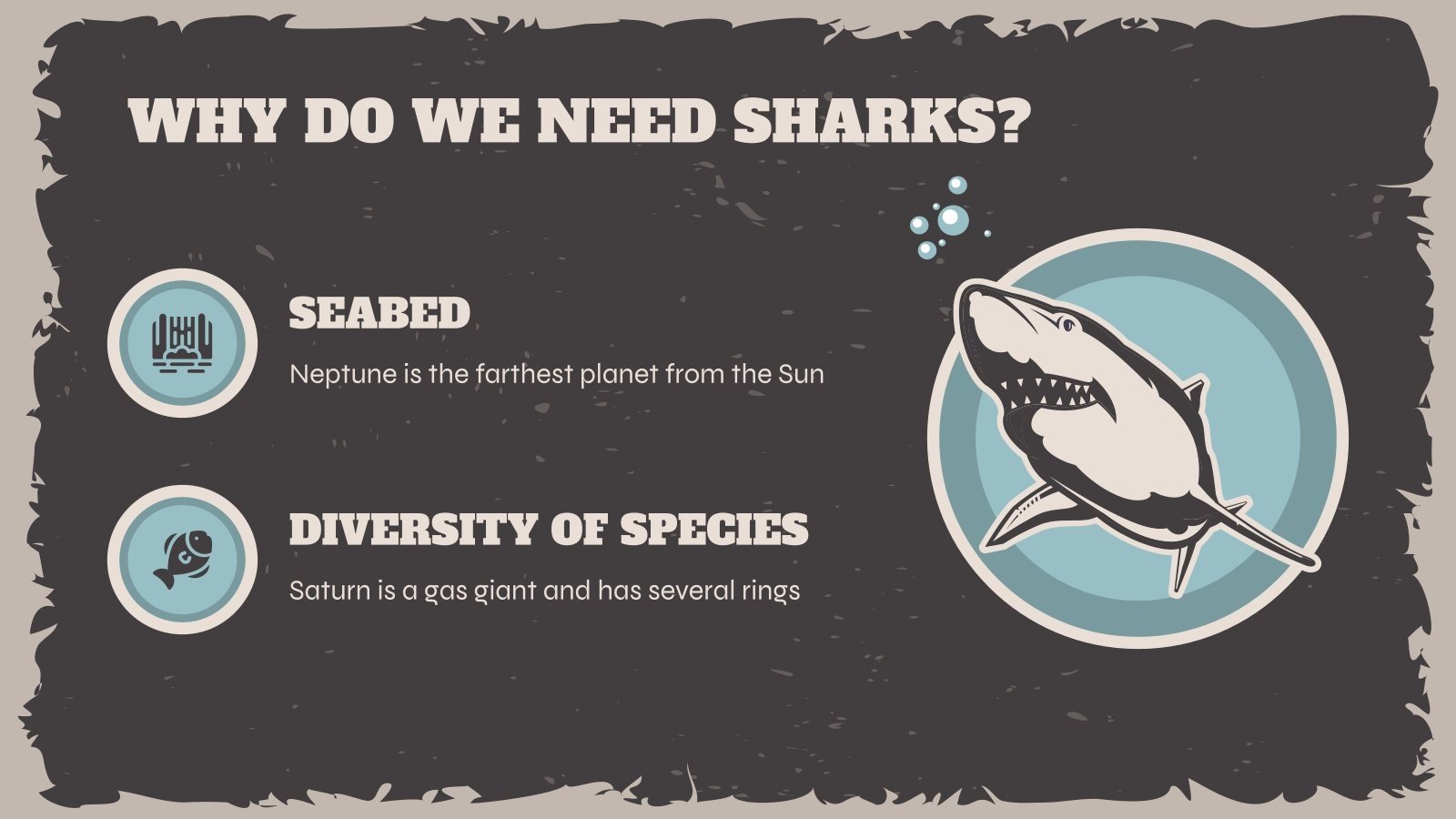 Shark Awareness Day | Google Slides & PowerPoint