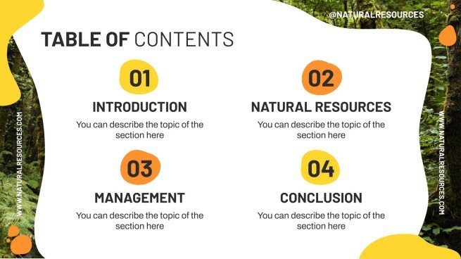 Major for College: Natural Resources Management | Google Slides