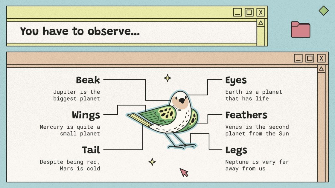 My Feathered Friend Infographics | Google Slides & PPT