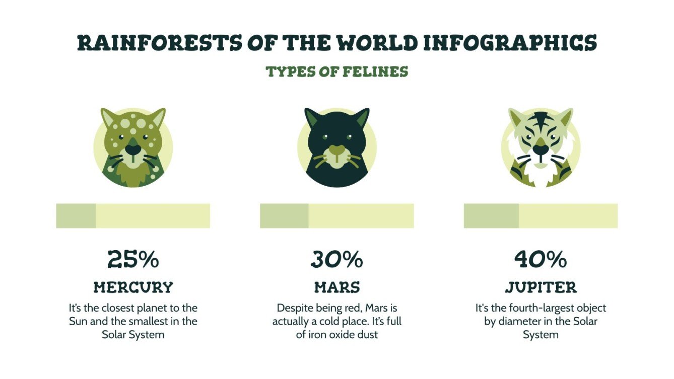 Rainforests of the World Infographics | Google Slides & PPT
