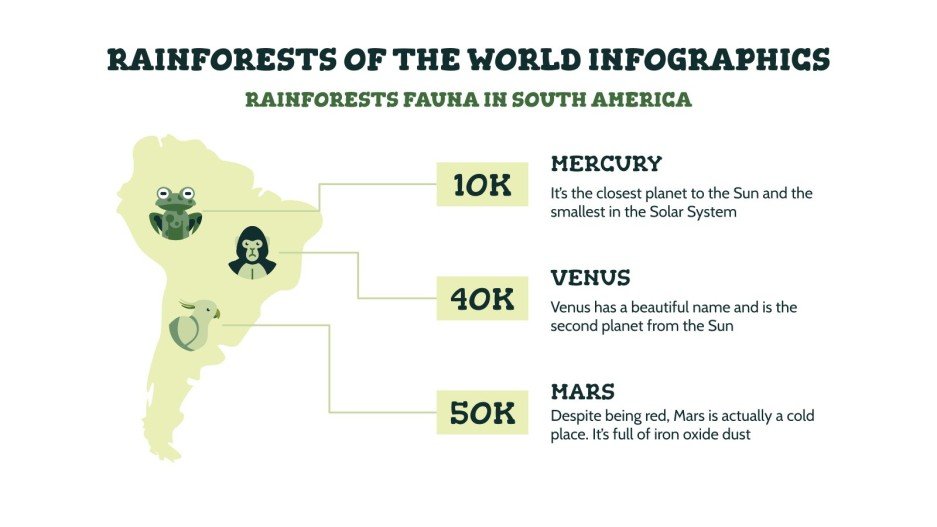 Rainforests of the World Infographics | Google Slides & PPT