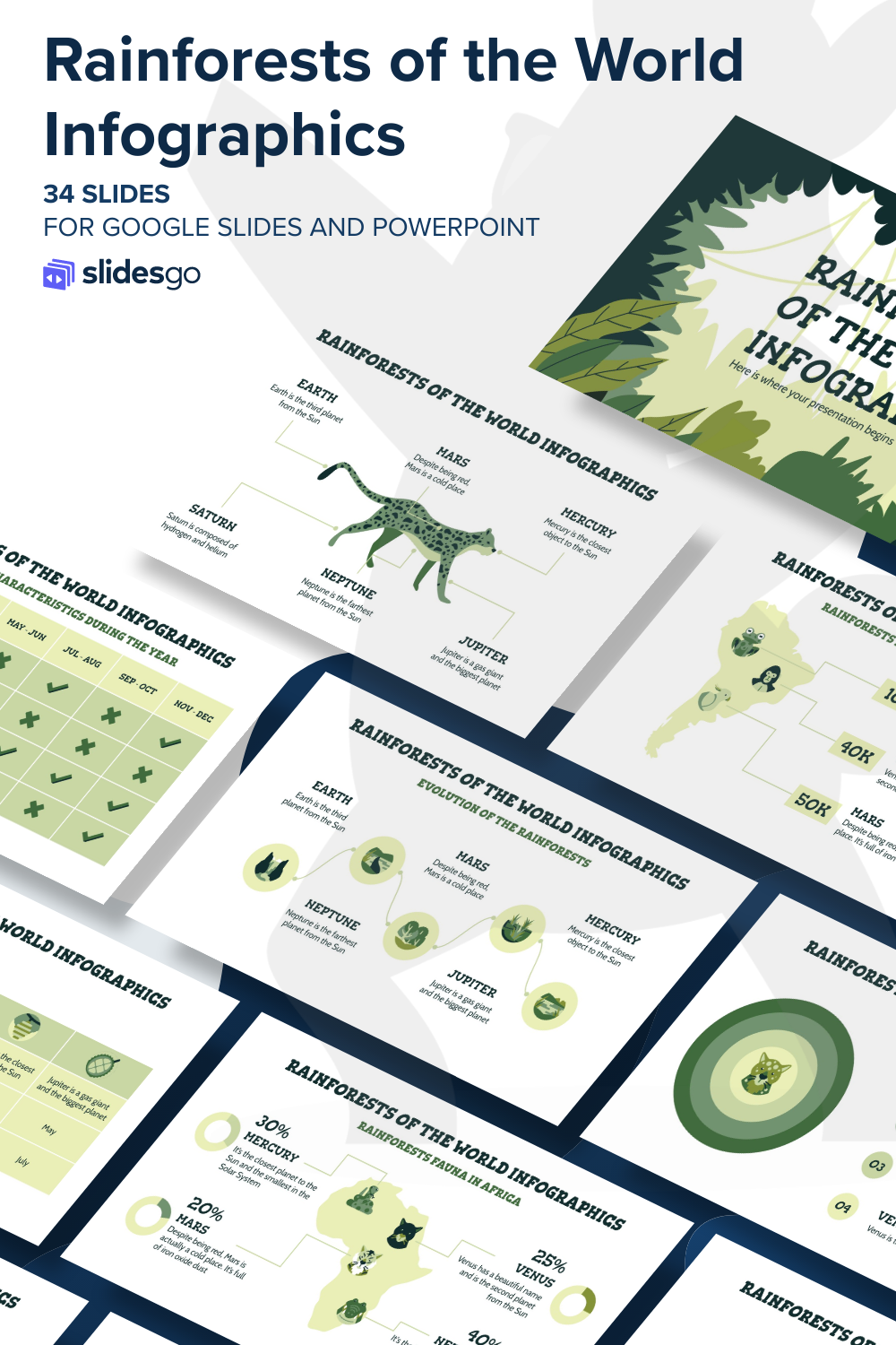 Rainforests of the World Infographics | Google Slides & PPT