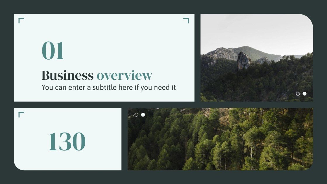 Aerial Photography Freelance Business Plan | Google Slides