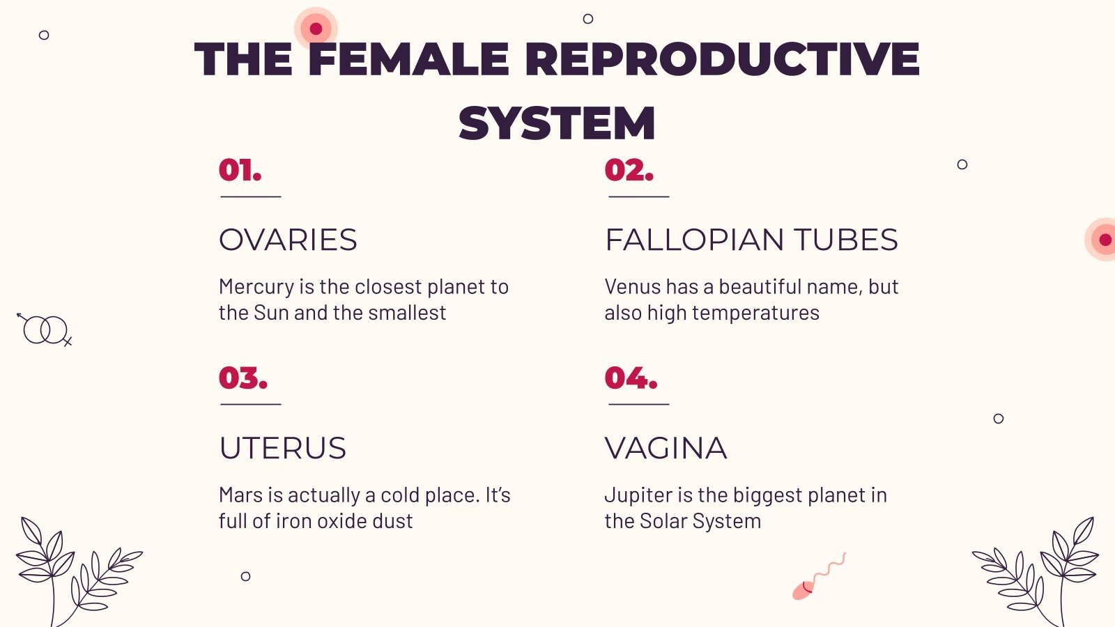 Biology: Human Reproduction | Google Slides & PowerPoint