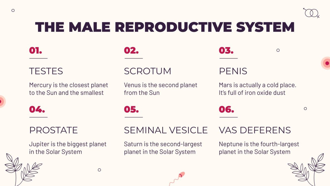 Biology: Human Reproduction | Google Slides & PowerPoint