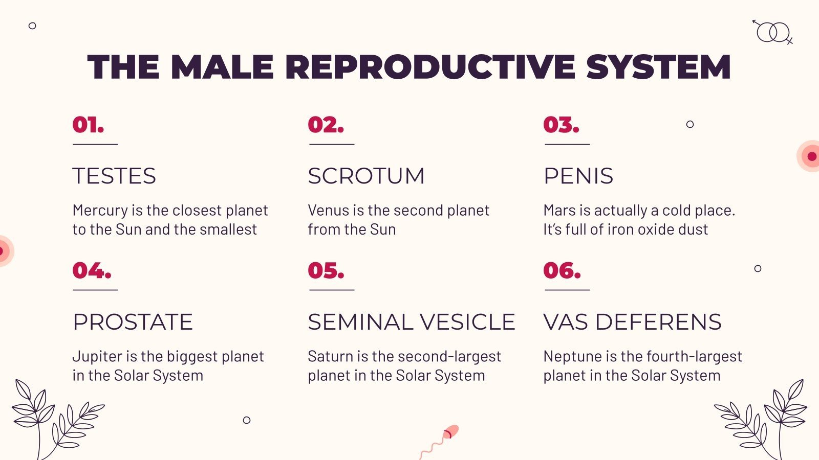 Biology: Human Reproduction | Google Slides & PowerPoint