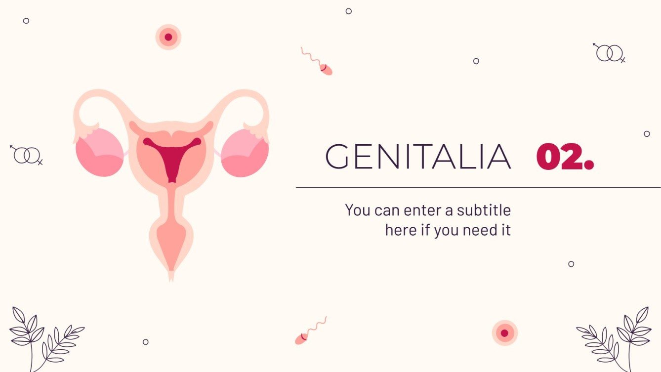 Biology: Human Reproduction | Google Slides & PowerPoint