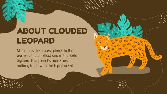 International Clouded Leopard Day | Google Slides & PowerPoint
