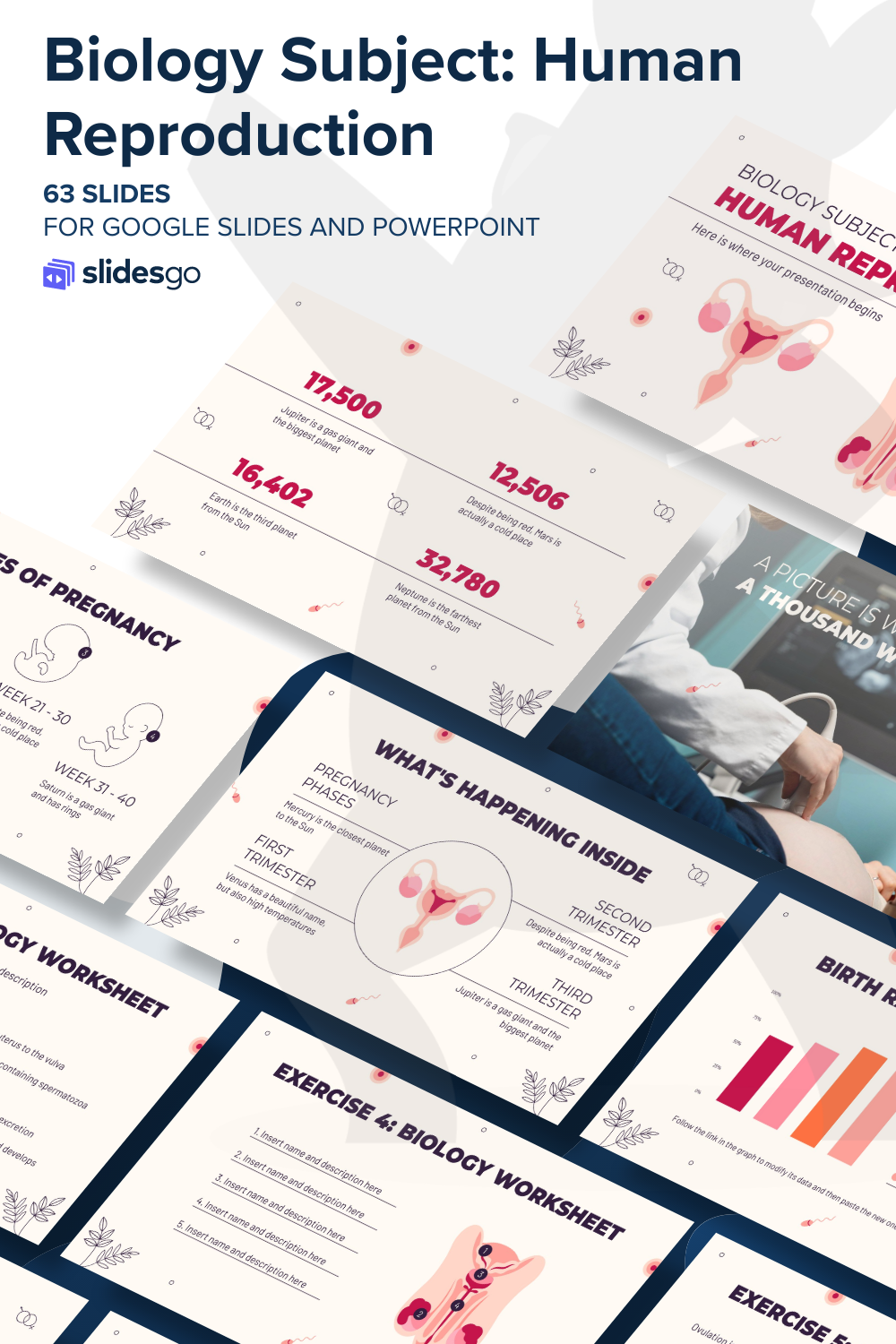 Biology: Human Reproduction | Google Slides & PowerPoint