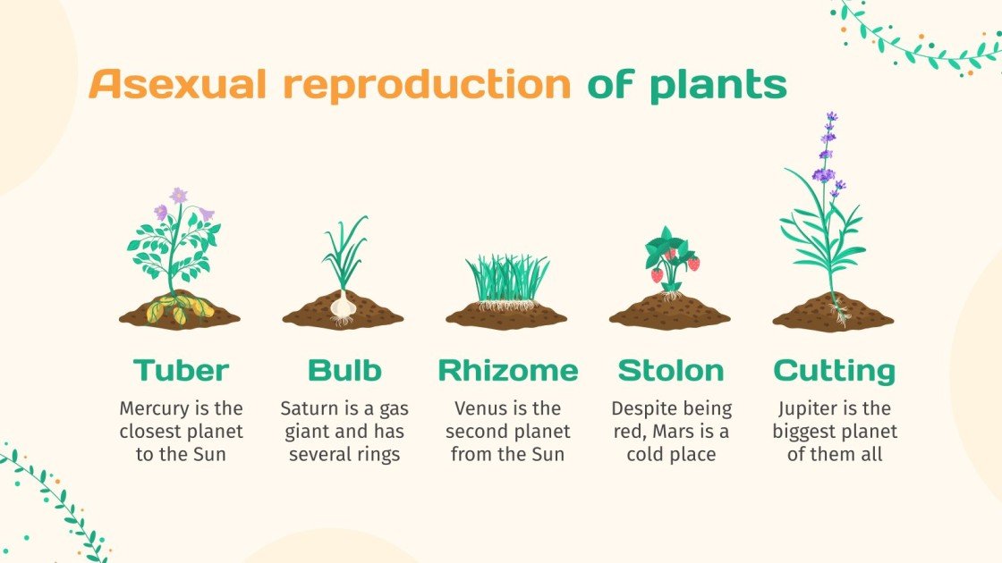 Reproduction in Plants | Google Slides & PPT