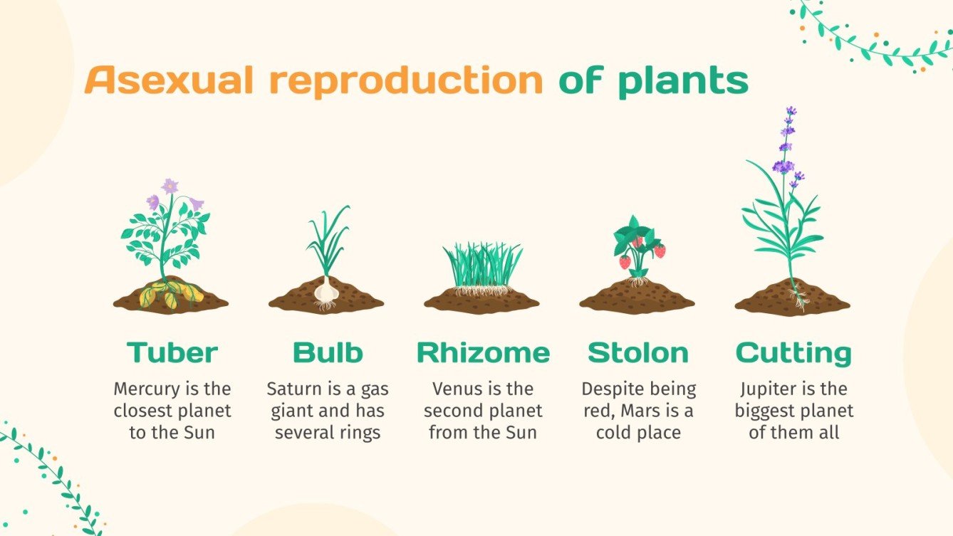Reproduction in Plants | Google Slides & PPT