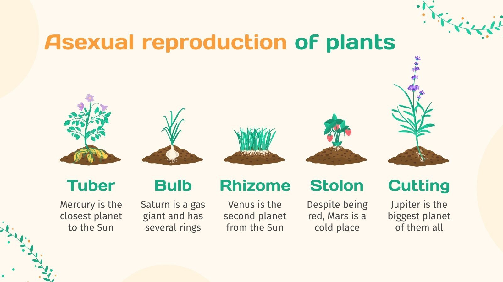 Reproduction in Plants | Google Slides & PPT