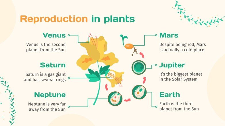 Reproduction in Plants | Google Slides & PPT
