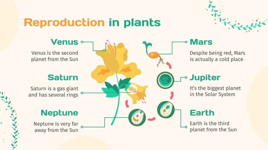 Reproduction in Plants | Google Slides & PPT