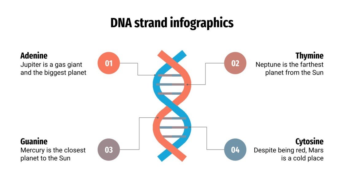 DNA Strand Infographics | Google Slides & PowerPoint