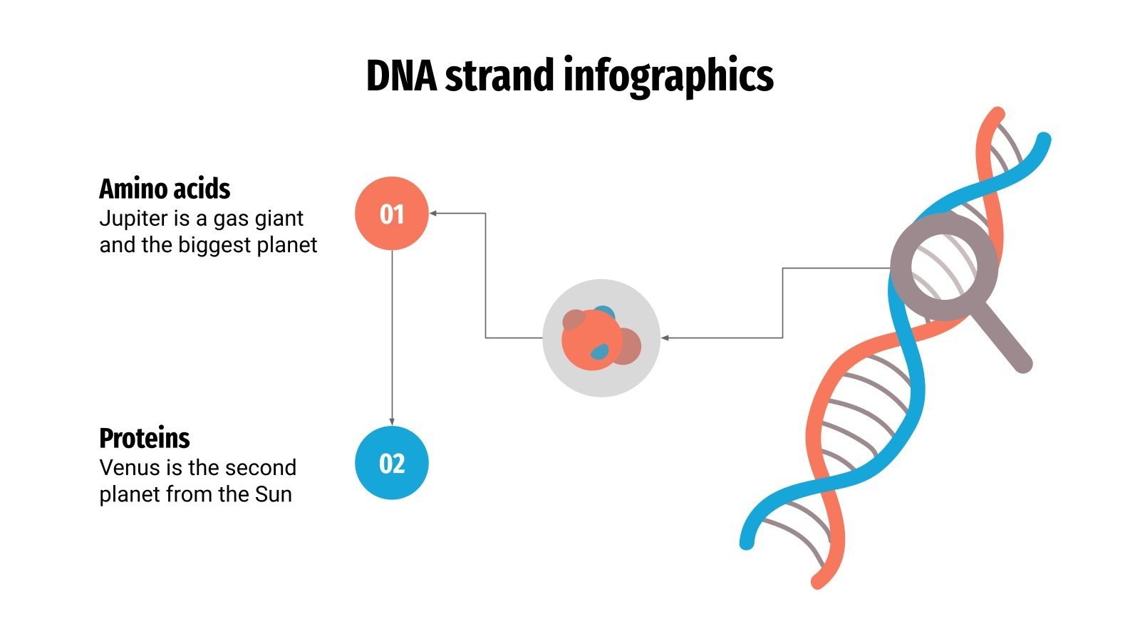 Infographies sur les brins d'ADN | Google Slides et PowerPoint