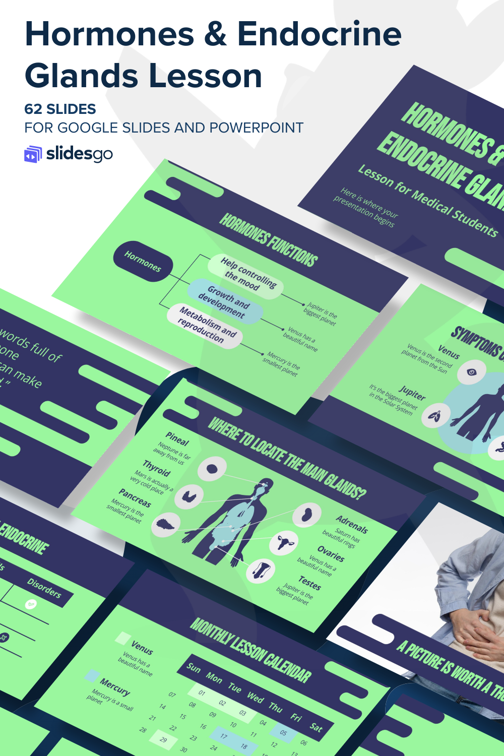 Hormones & Endocrine Glands Lesson | Google Slides & PPT
