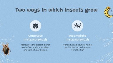 Science for Pre-K: Drawings & Dictation of Insects