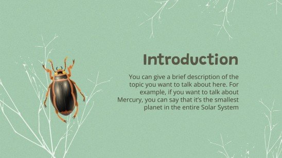 Science for Pre-K: Drawings & Dictation of Insects