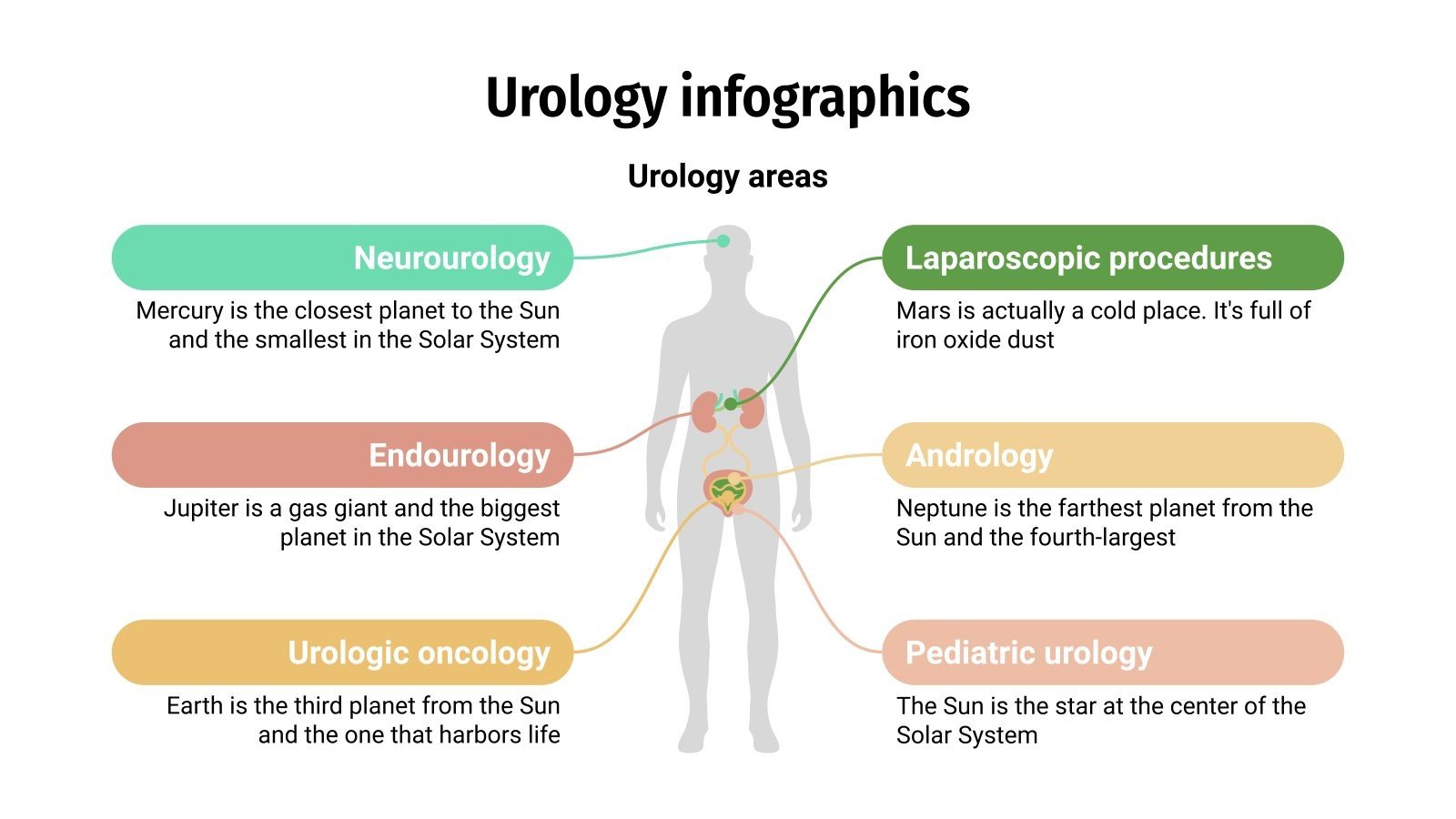 Infográficos sobre urologia | Google Slides e PowerPoint