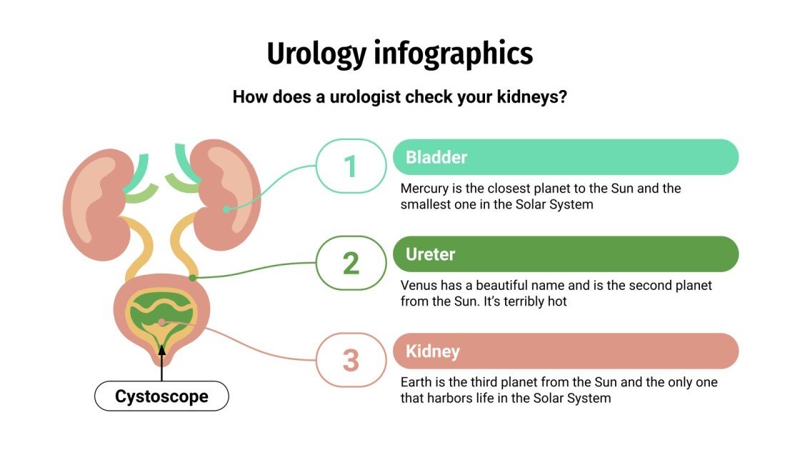 Urology Infographics | Google Slides & PowerPoint template