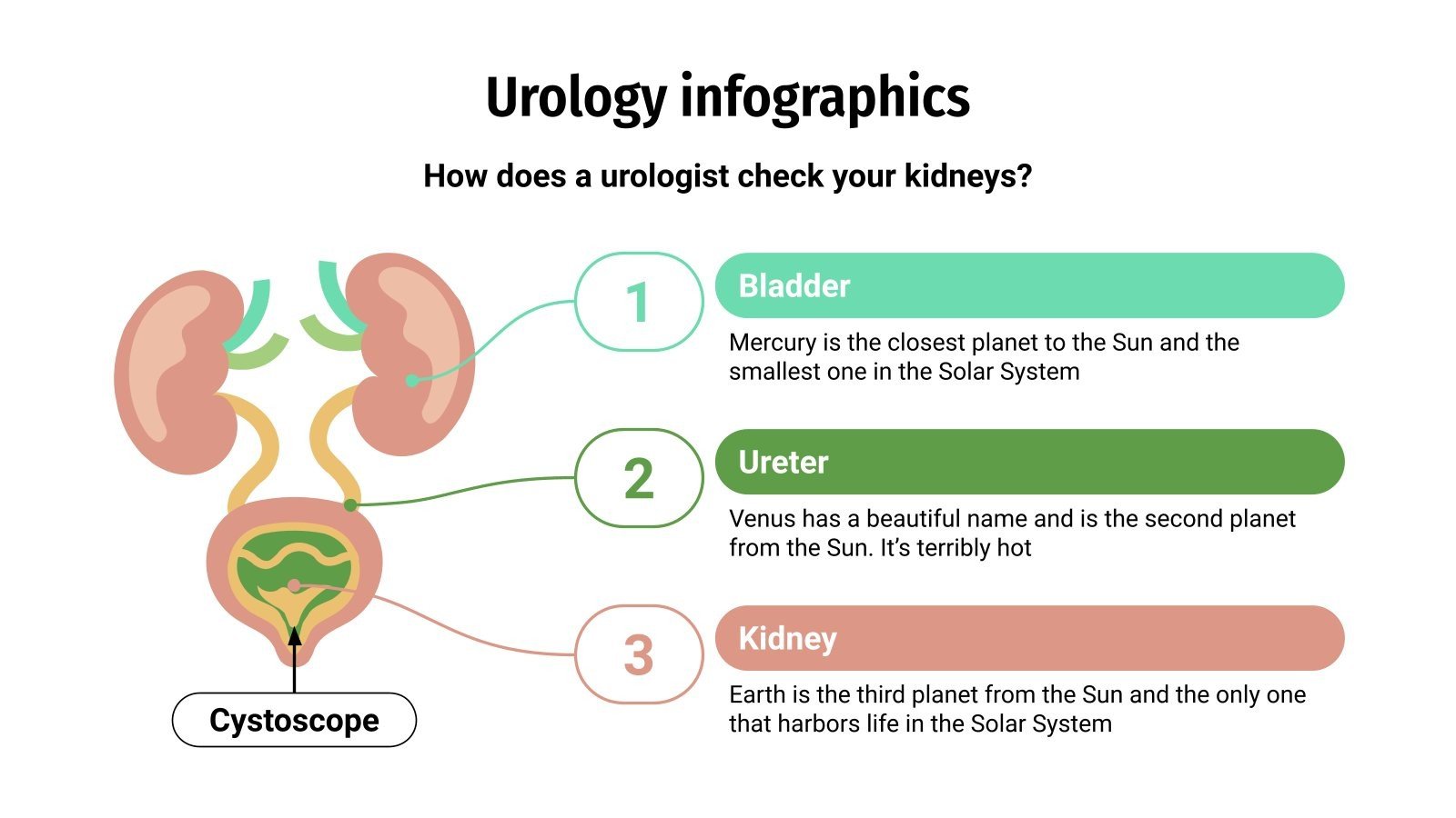 Urology Infographics | Google Slides & PowerPoint template