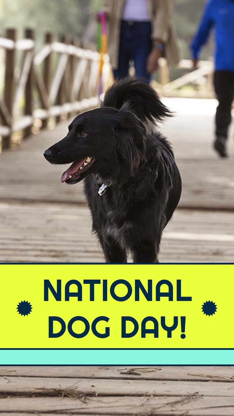 Influencer IG Stories US National Dog Day | Google Slides