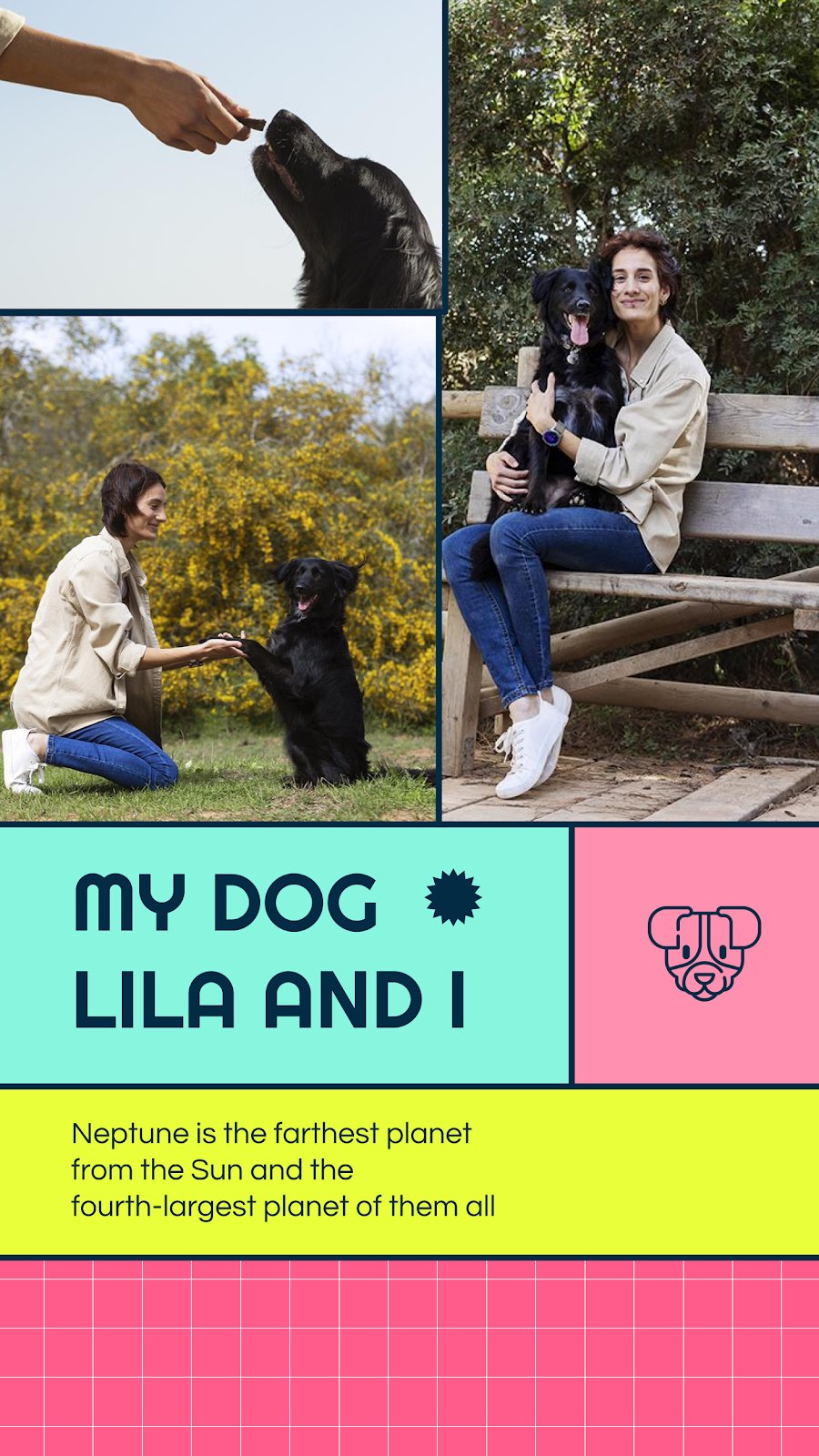 Stories de Instagram día nacional del perro | Google Slides