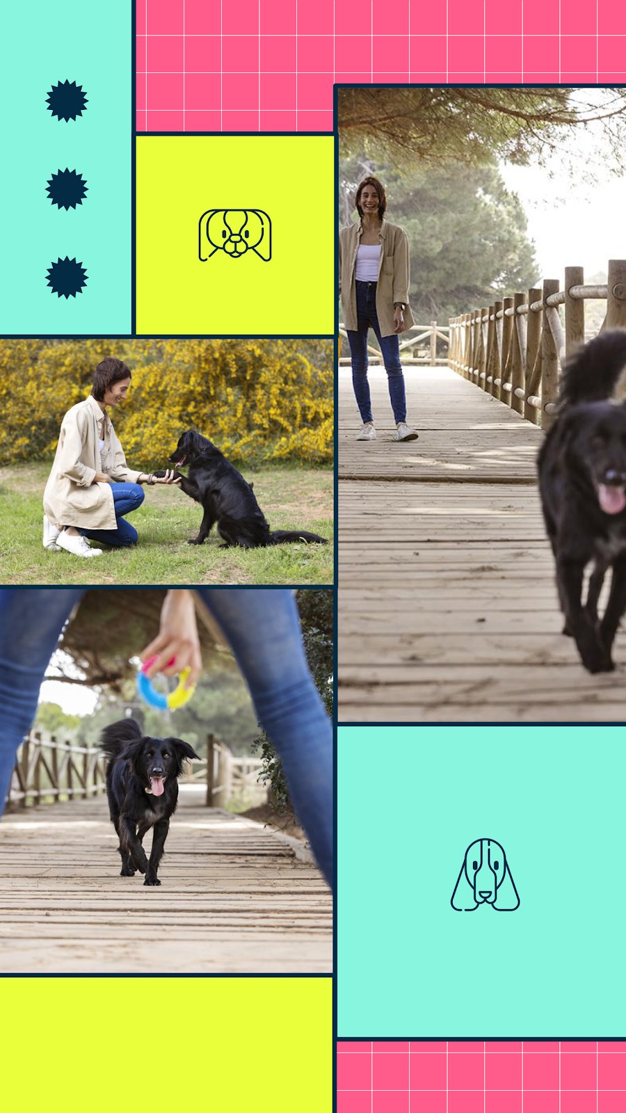 Stories de Instagram día nacional del perro | Google Slides