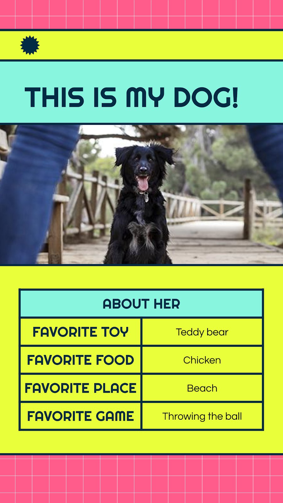 Stories de Instagram día nacional del perro | Google Slides