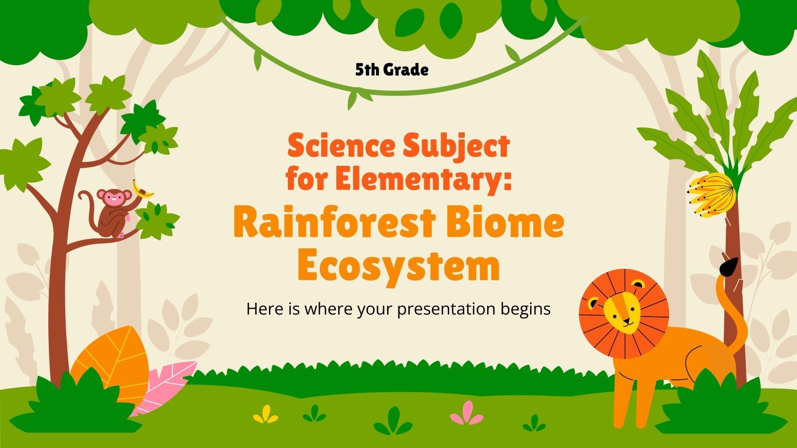Science Subject for Elementary: Rainforest Biome Ecosystem