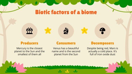 Science Subject for Elementary: Rainforest Biome Ecosystem