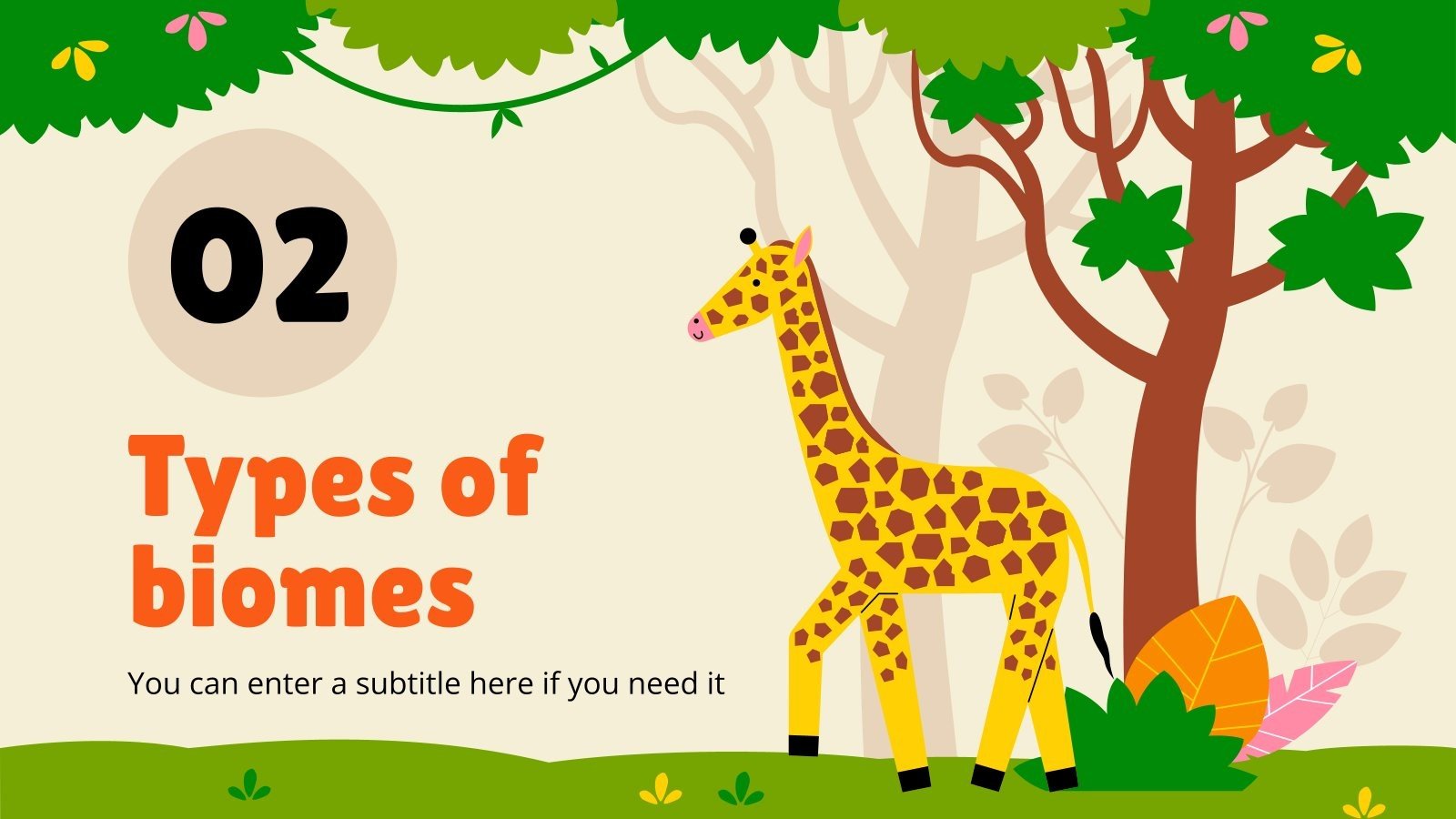 Science Subject for Elementary: Rainforest Biome Ecosystem