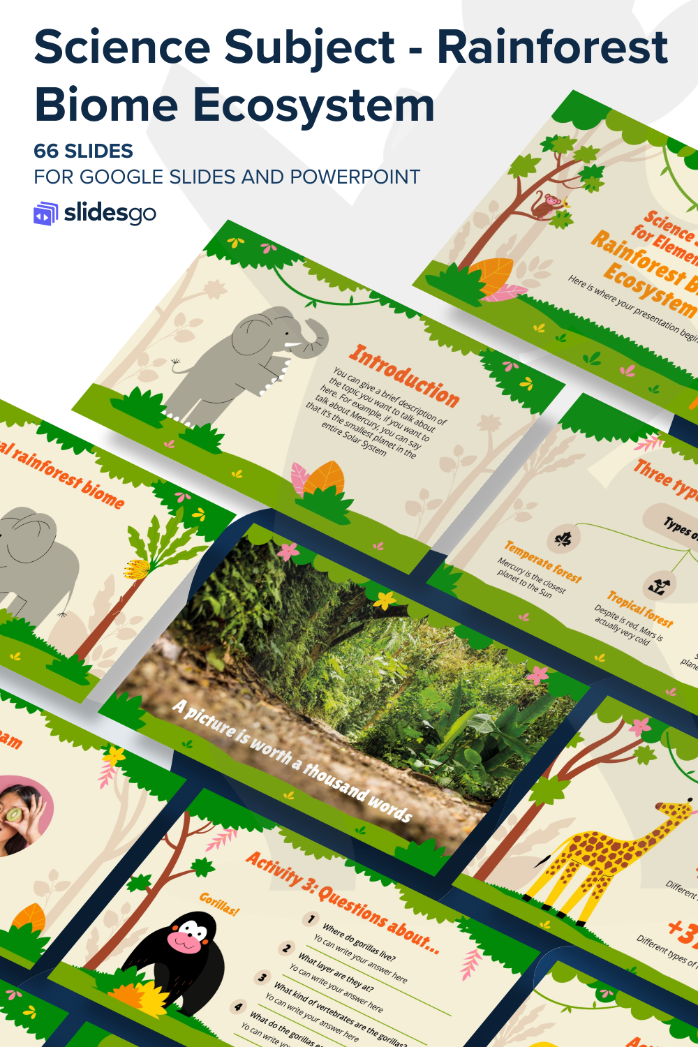 Science Subject for Elementary: Rainforest Biome Ecosystem