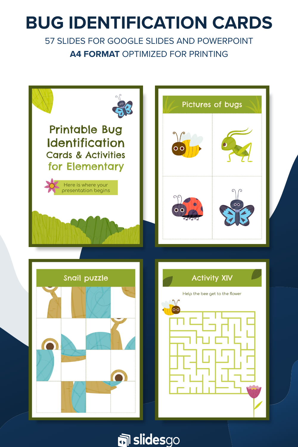 Printable Bug Identification Cards & Activities | Google Slides