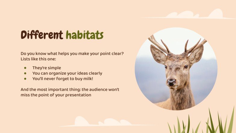 Natural Resources Major for College: Wildlife Management