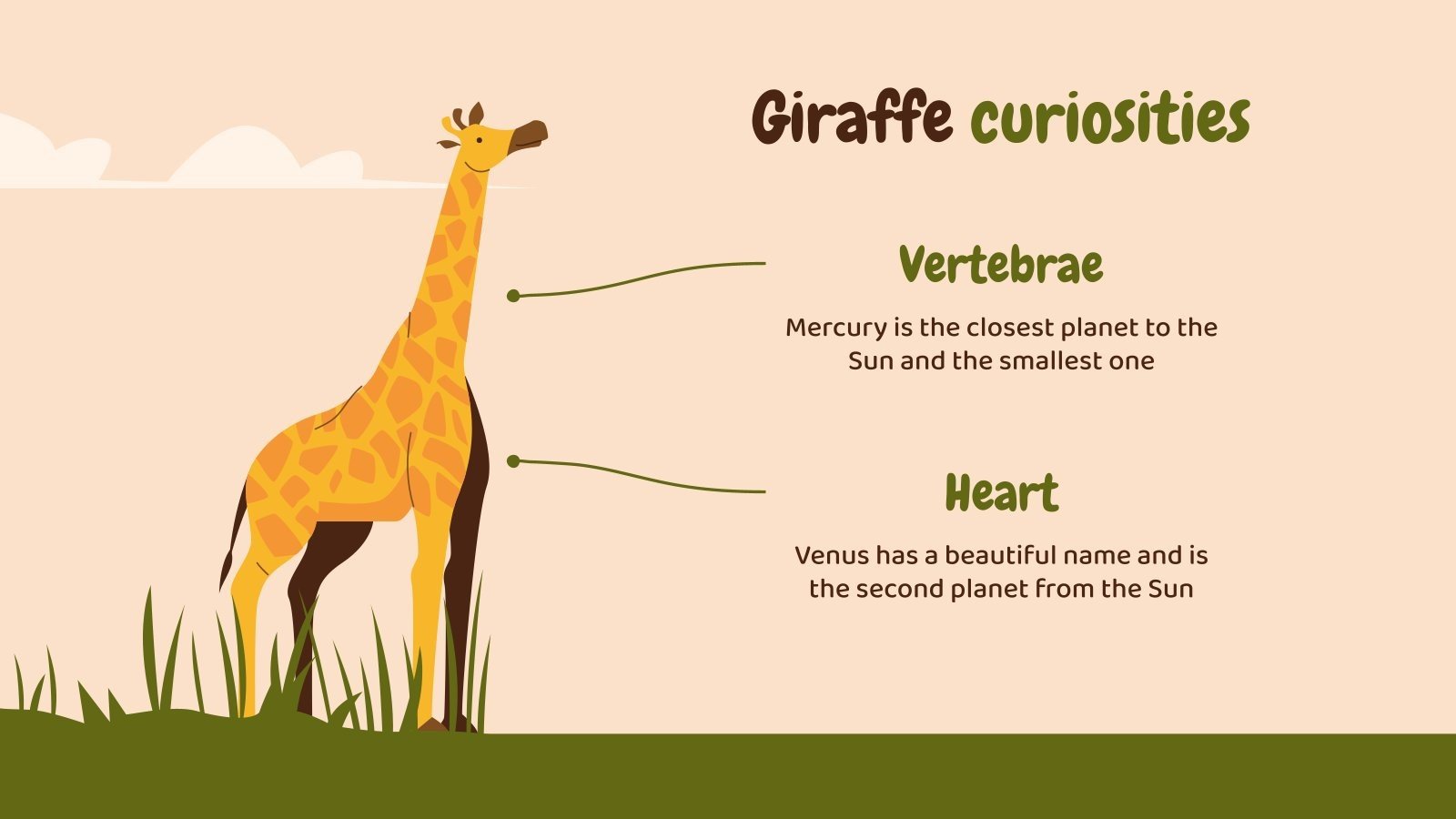 Natural Resources Major for College: Wildlife Management
