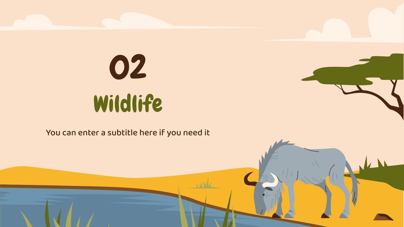 Natural Resources Major for College: Wildlife Management