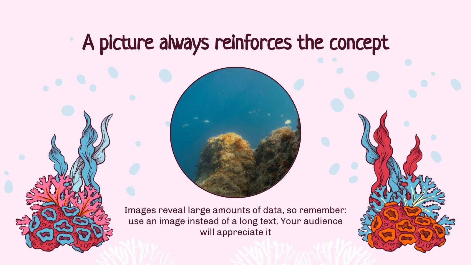 Aquatic Biomes Lesson for Elementary | Google Slides & PPT