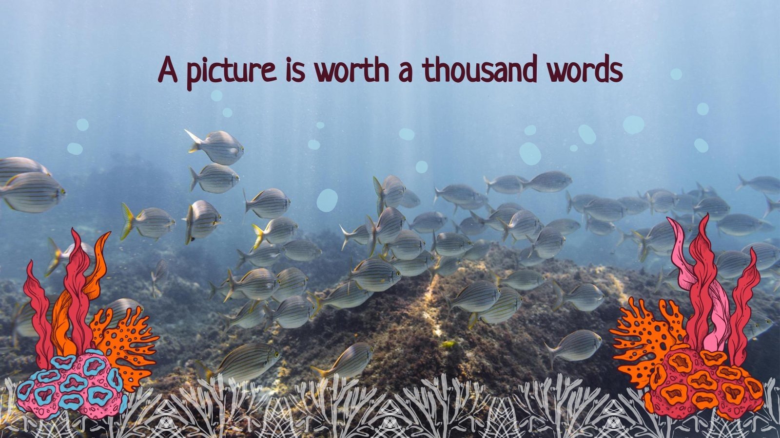 Aquatic Biomes Lesson for Elementary | Google Slides & PPT