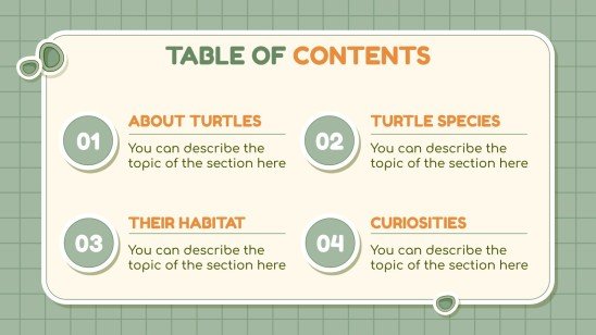 Happy Turtles Minitheme | Google Slides and PowerPoint