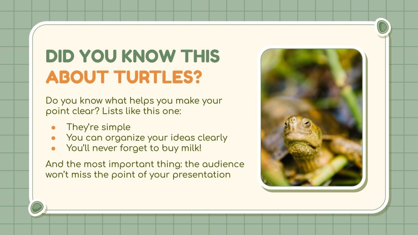 Happy Turtles Minitheme | Google Slides and PowerPoint