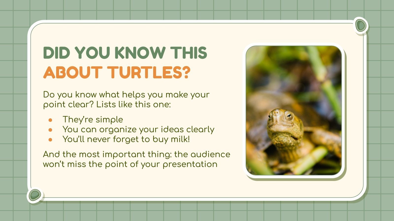 Happy Turtles Minitheme | Google Slides and PowerPoint